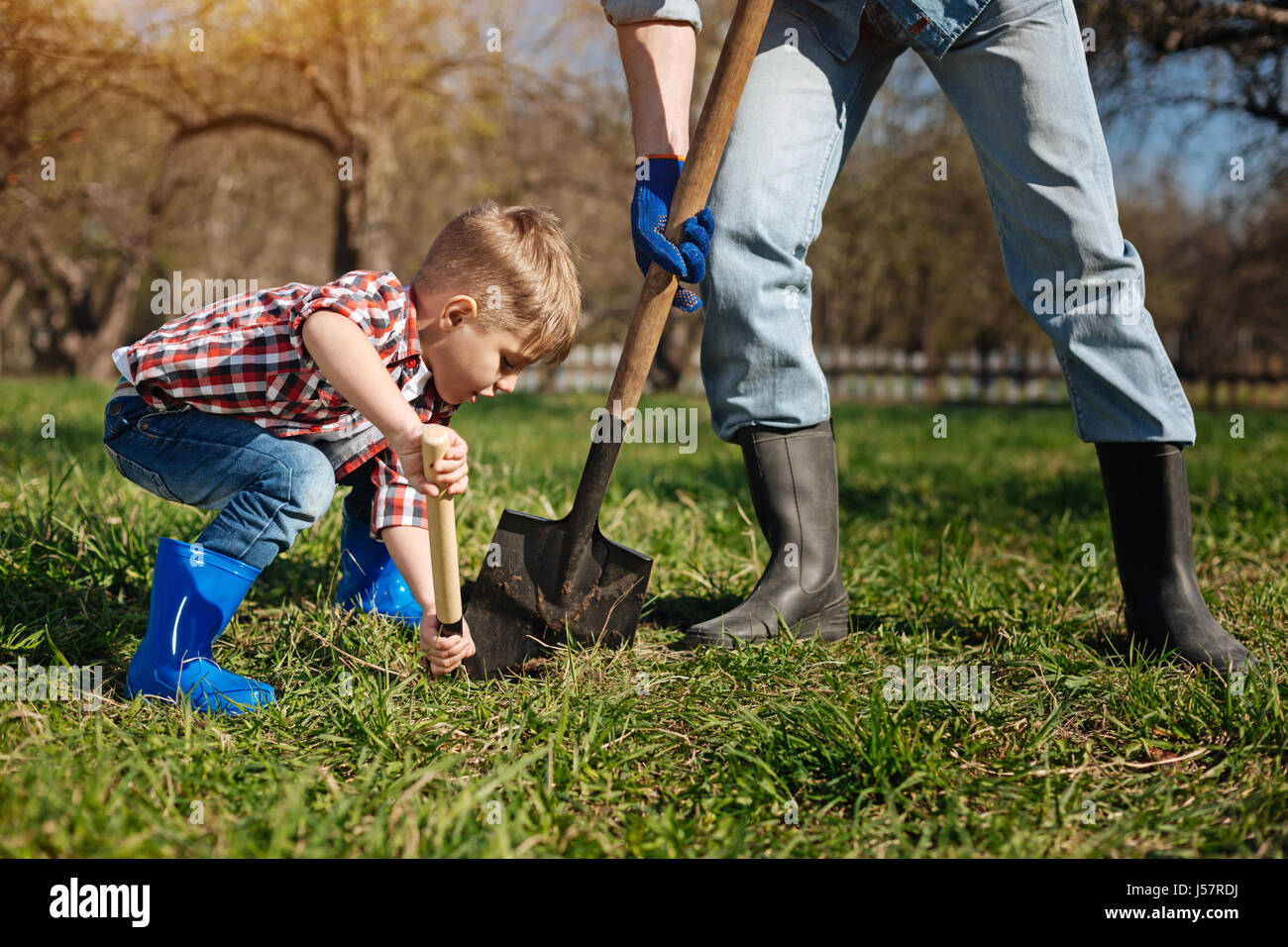 Soil help hi-res stock photography and images - Alamy