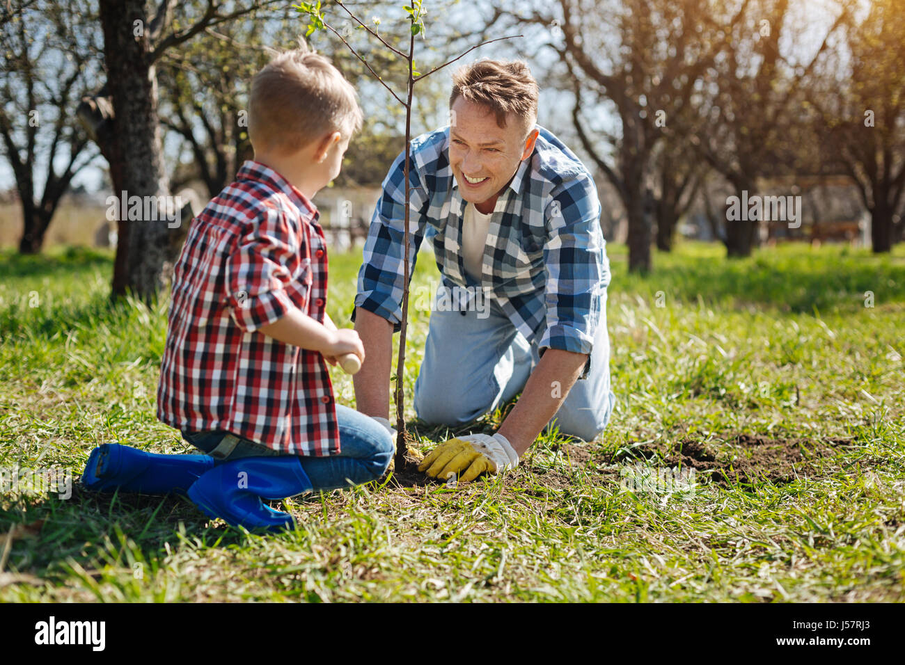 Radiant male family team taking care of nature Stock Photo - Alamy
