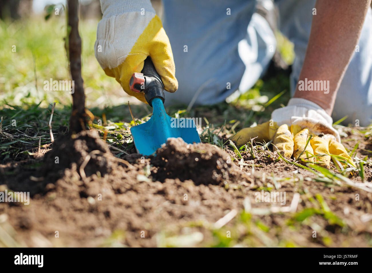 Scooping earth hi-res stock photography and images - Alamy