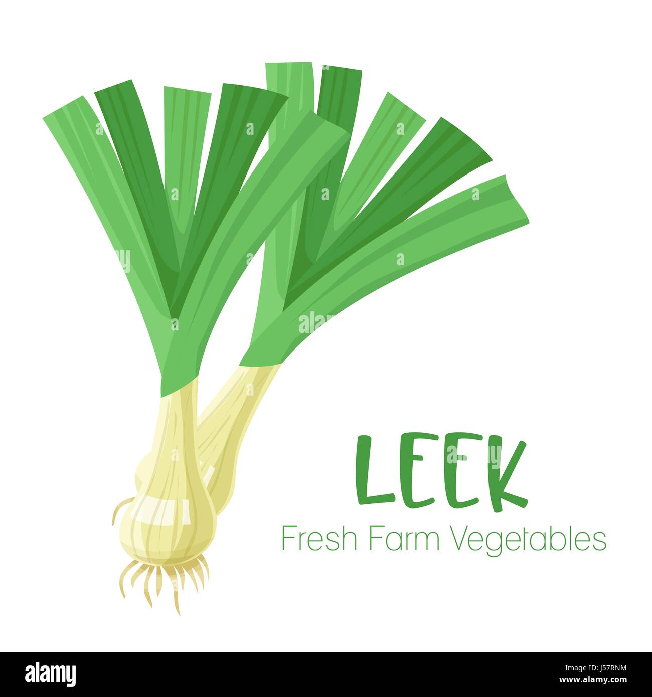 Leek vegetable cartoon illustration hi-res stock photography and images ...