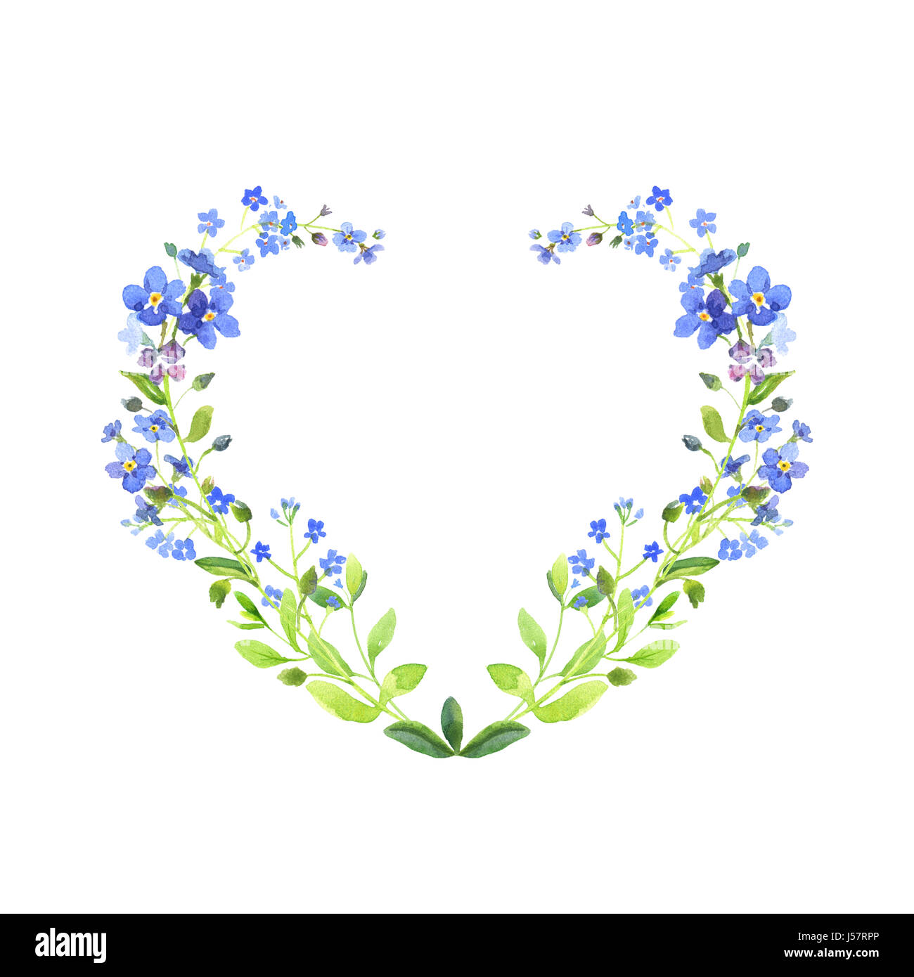 Watercolor heart. Blue forget-me-nots Stock Photo - Alamy