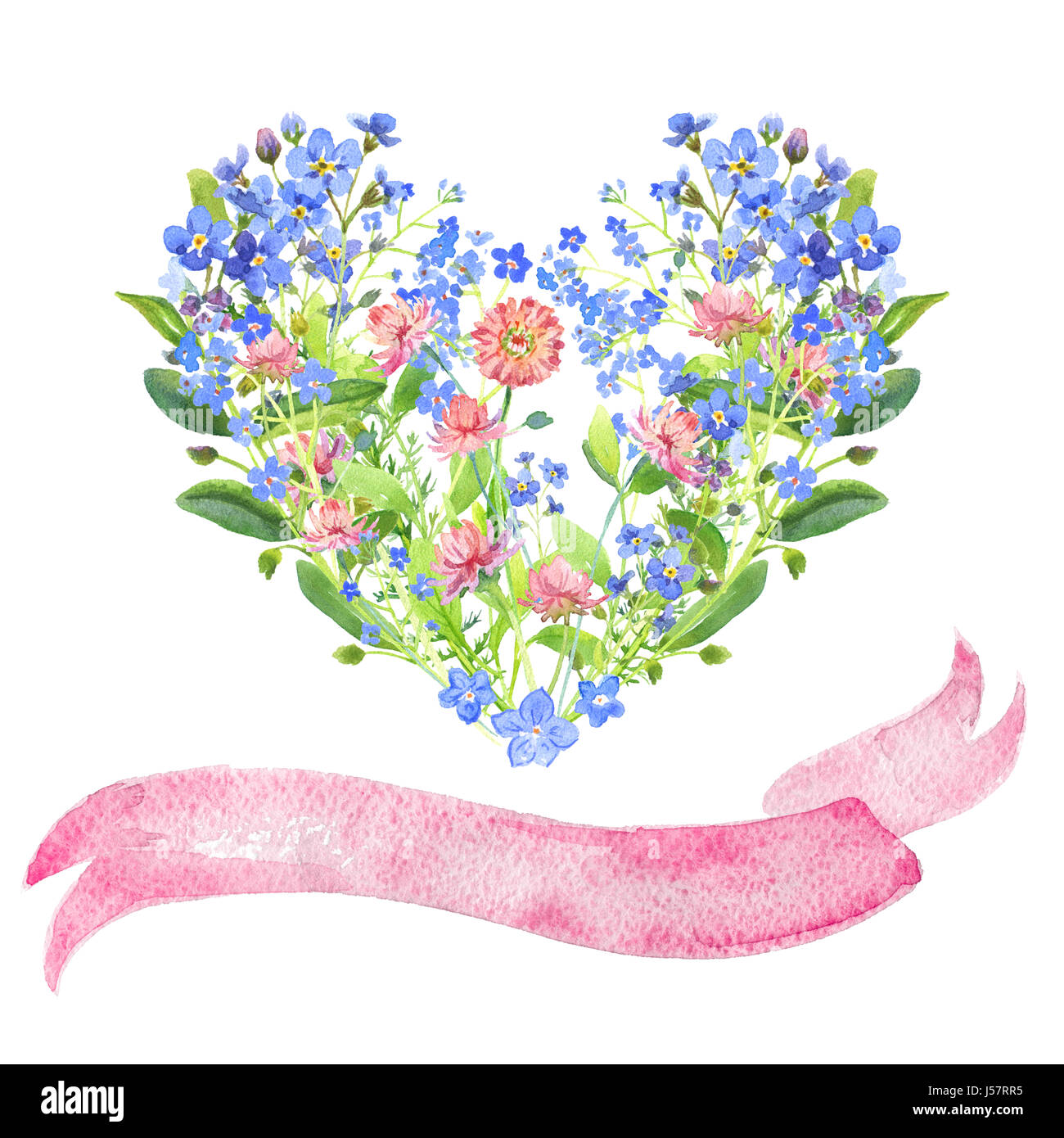 Forget me nots drawing hi-res stock photography and images - Alamy