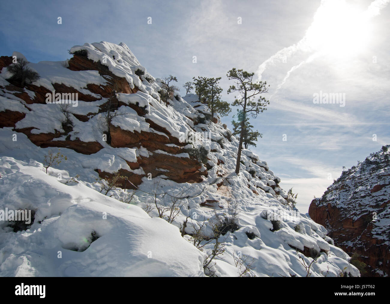 View from Scouts Lookout on Angels Landing Hiking Trail in Zion ...