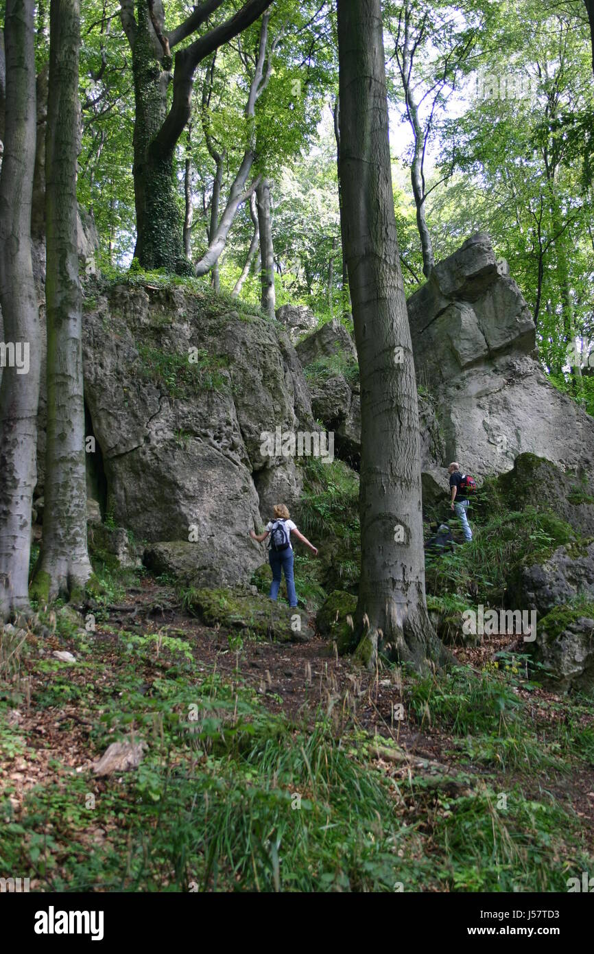hike go hiking ramble rock deciduous forest beech forest lower saxony ...