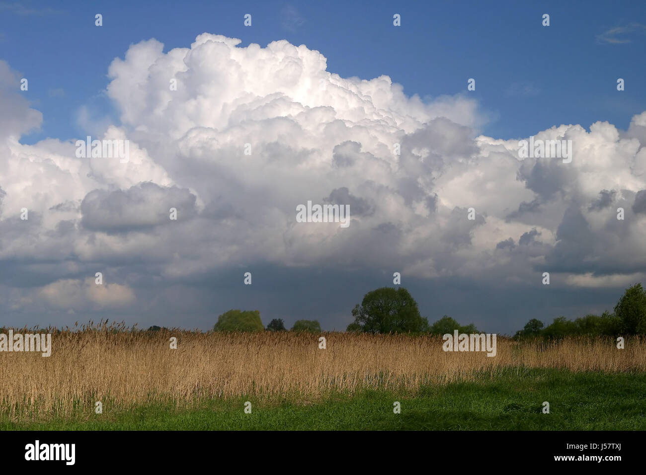 national park cloud mood meadows thunder-storm border poland windy ...