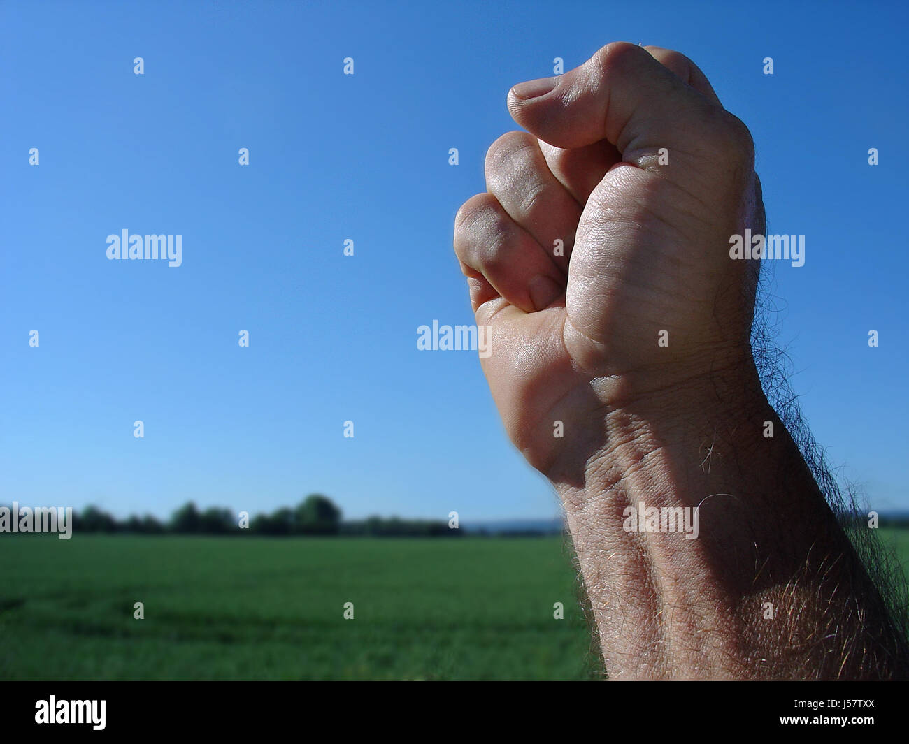 upwards successful succesful symbolic fist winner forward victory ...