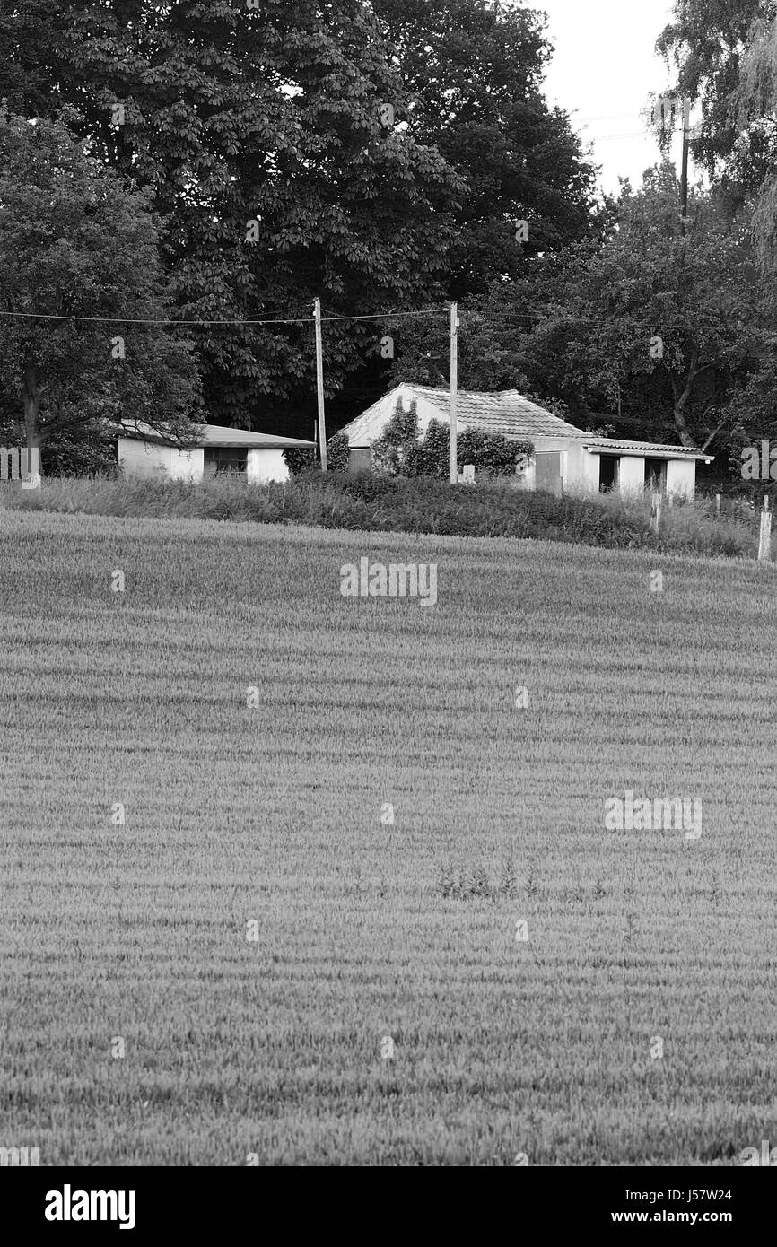 house at field 3 Stock Photo - Alamy