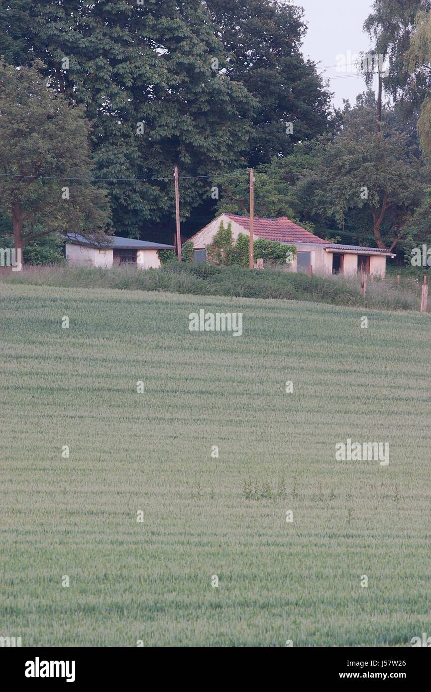 house at field 1 Stock Photo - Alamy