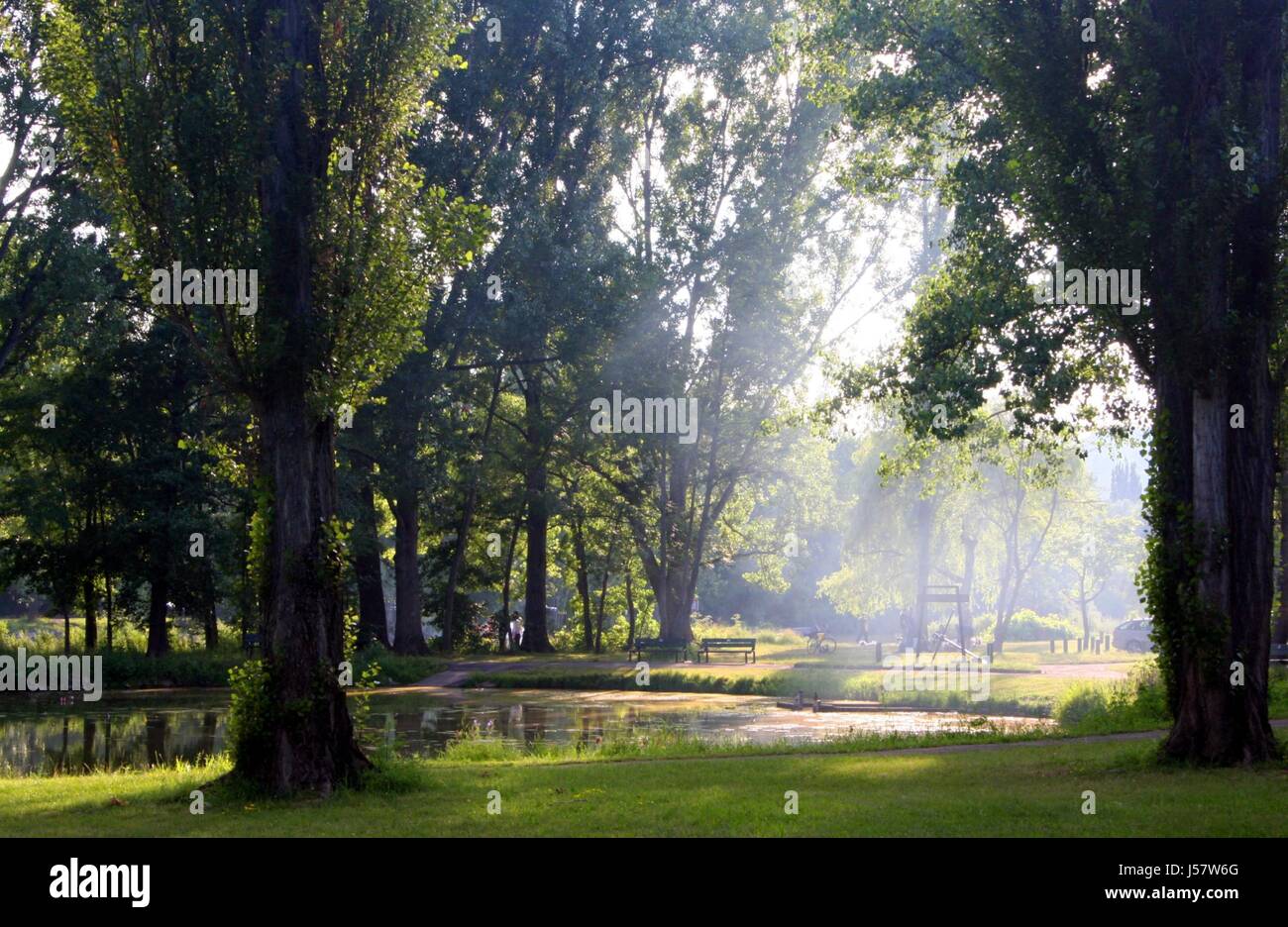 Duckburg hi-res stock photography and images - Alamy