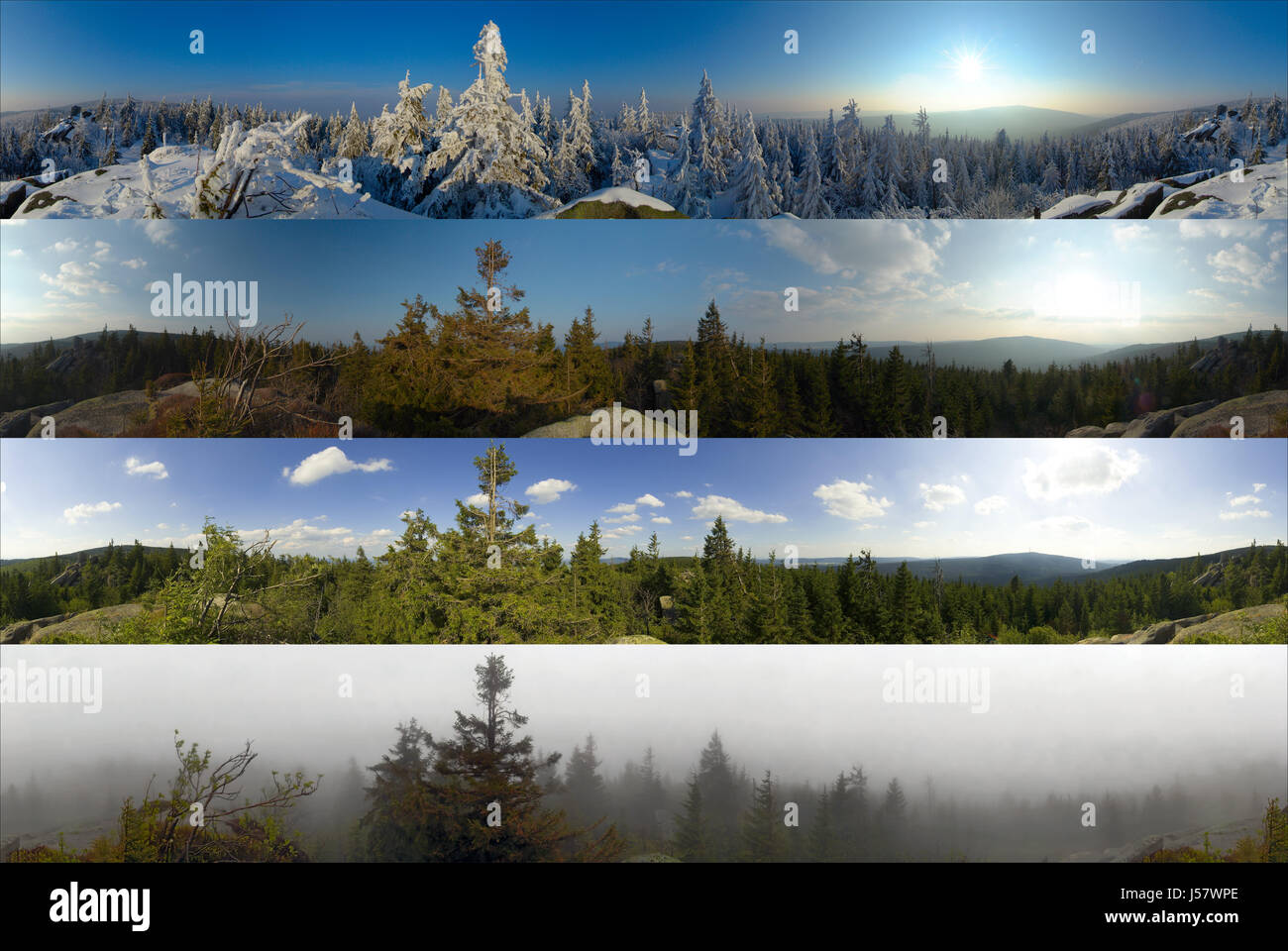 4 seasons hi-res stock photography and images - Alamy