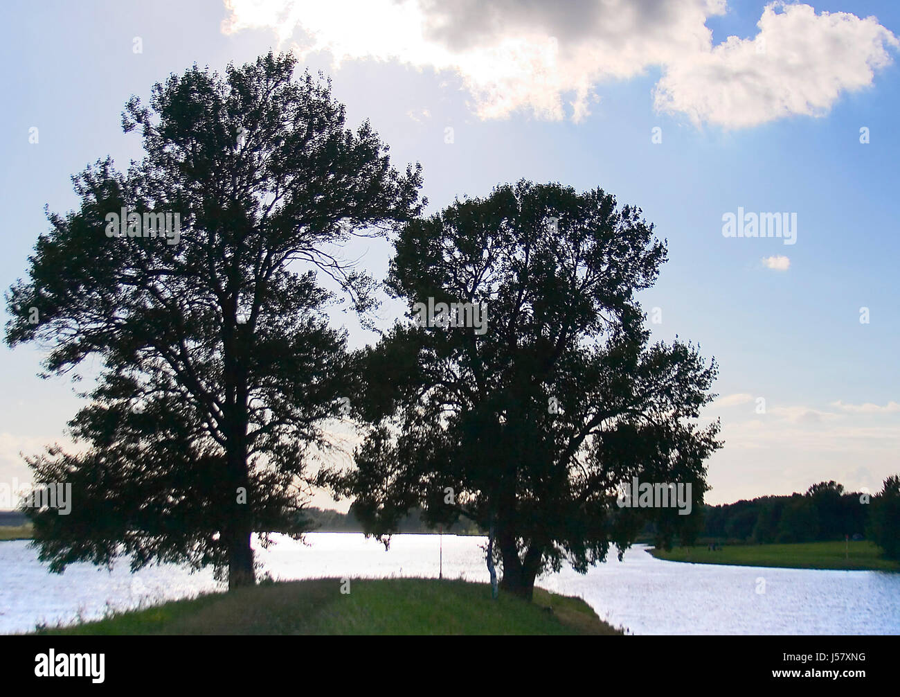 Elbe Auen High Resolution Stock Photography and Images - Alamy