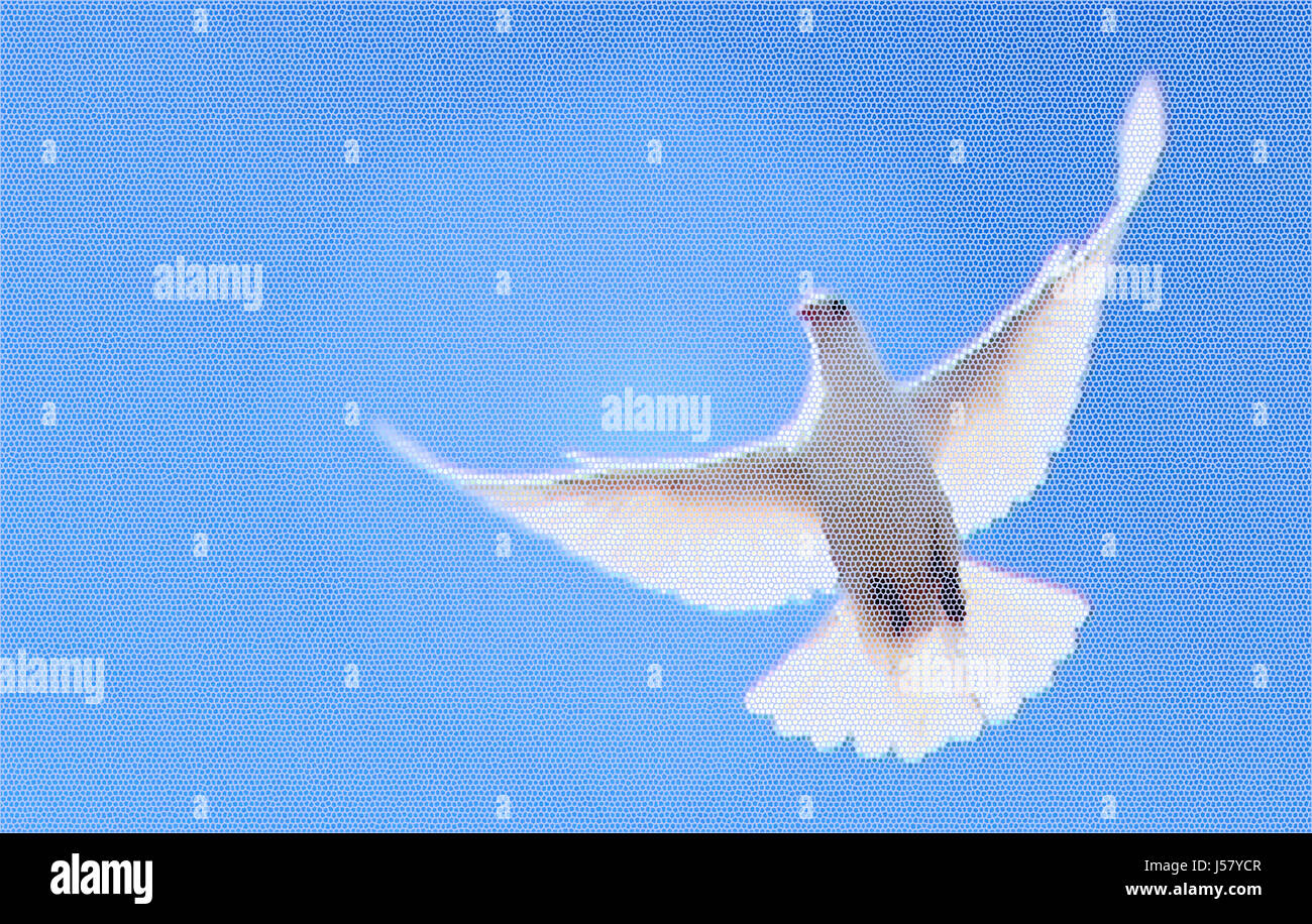 War birds hi-res stock photography and images - Alamy