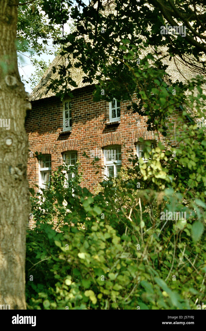 house building detail tree trees agriculture farming bushes farmhouse ...