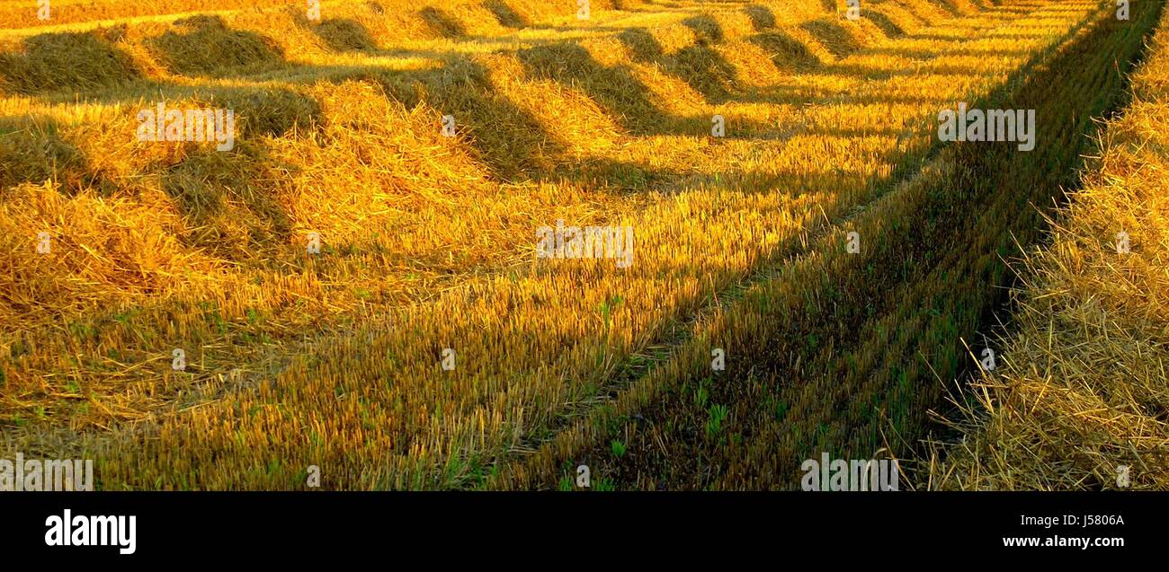 Crop marks hi-res stock photography and images - Alamy