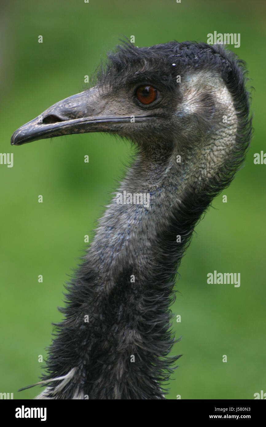 but wait Stock Photo - Alamy