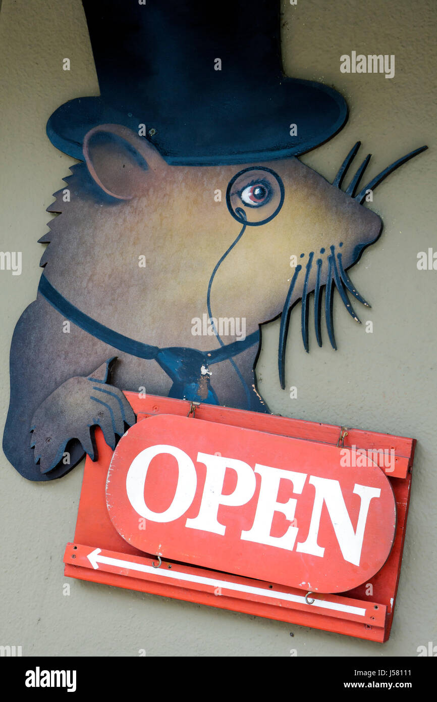 Dora logo hi-res stock photography and images - Alamy