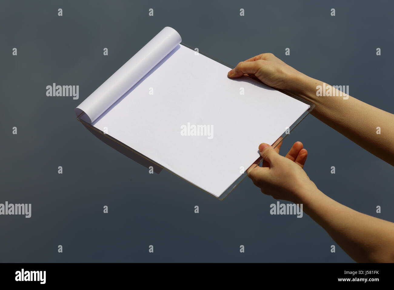 Woman Hand Holding Message Board Stock Photo - Alamy