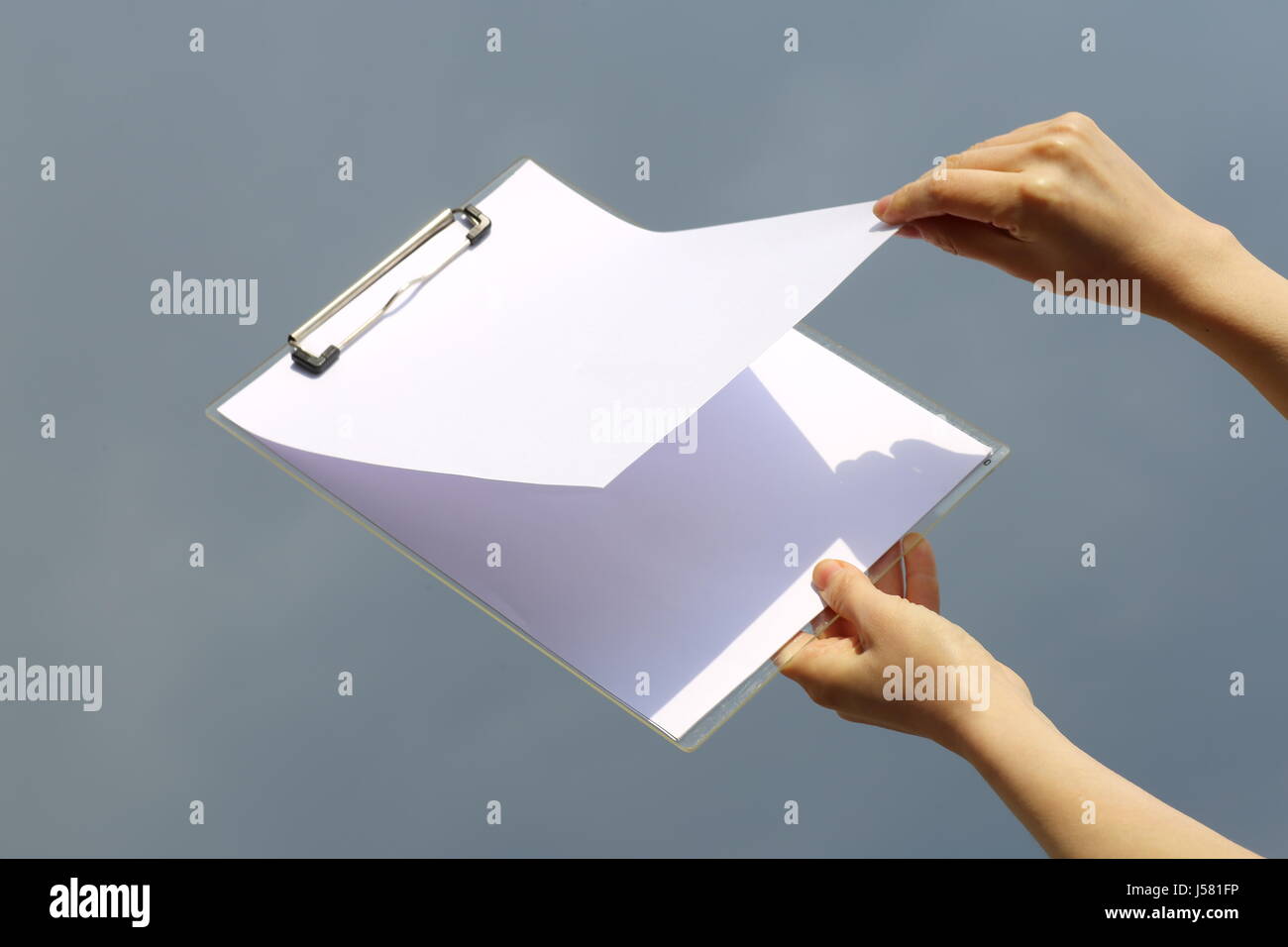 Woman Hand Holding Message Board Stock Photo - Alamy