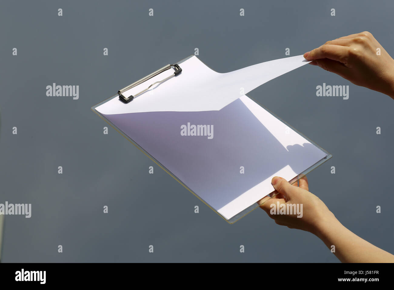 Woman Hand Holding Message Board Stock Photo - Alamy