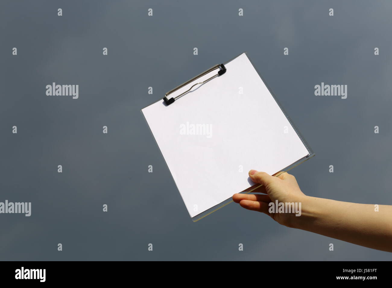 Woman Hand Holding White Board Stock Photo - Alamy