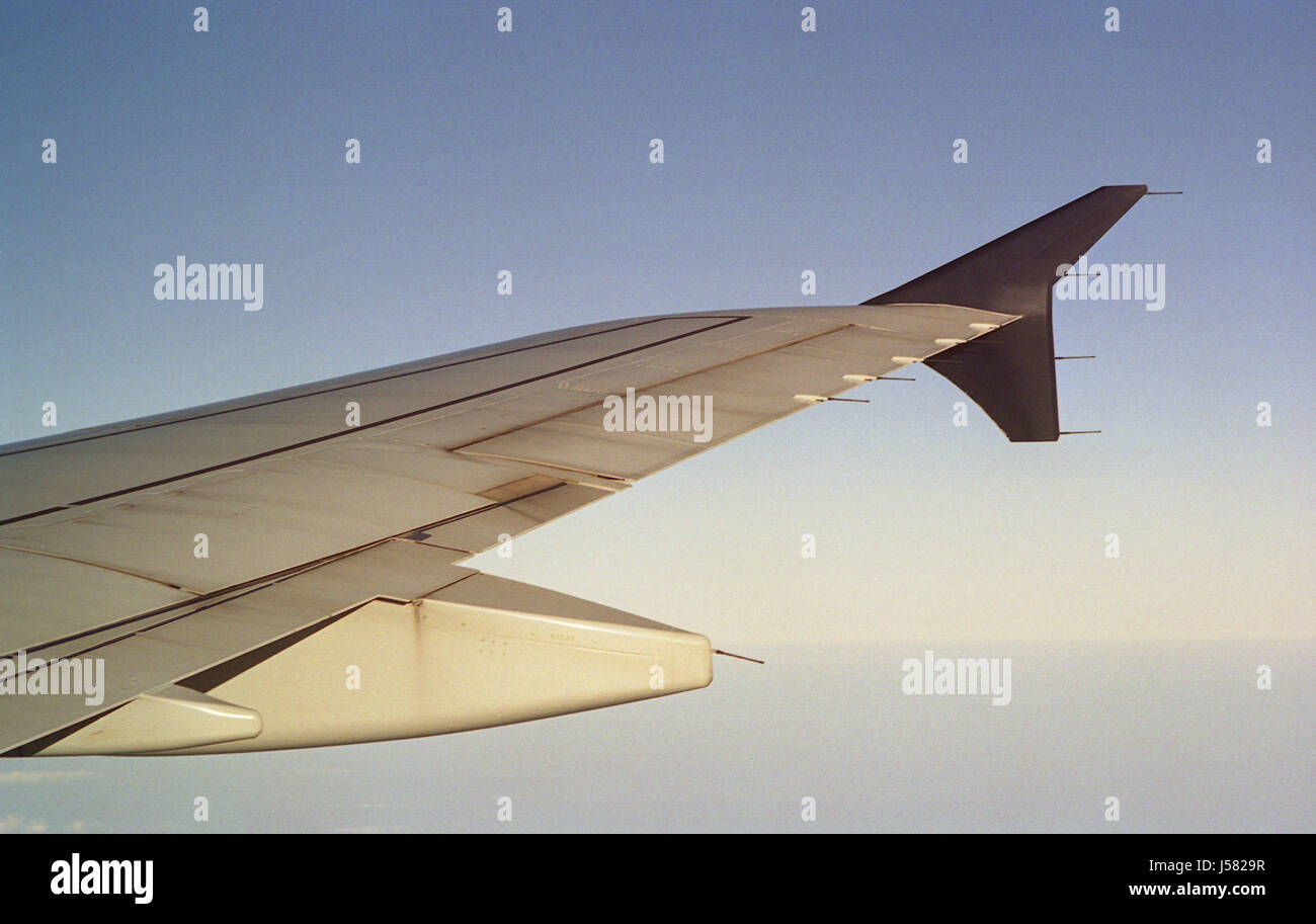 flight wing azure aircraft aeroplane plane airplane fly flies flys ...