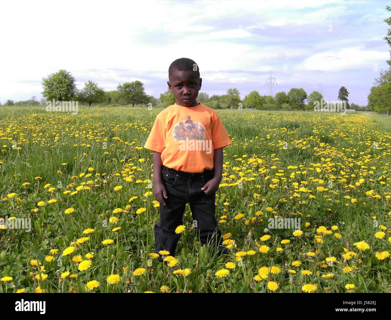 Black dandelion hi-res stock photography and images - Alamy