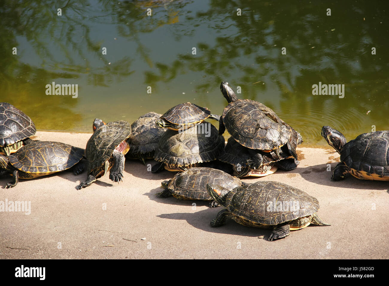 lack of space Stock Photo - Alamy
