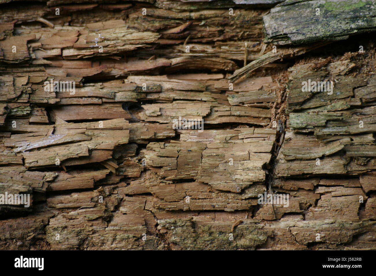 Zerfllenes holz hi-res stock photography and images - Alamy