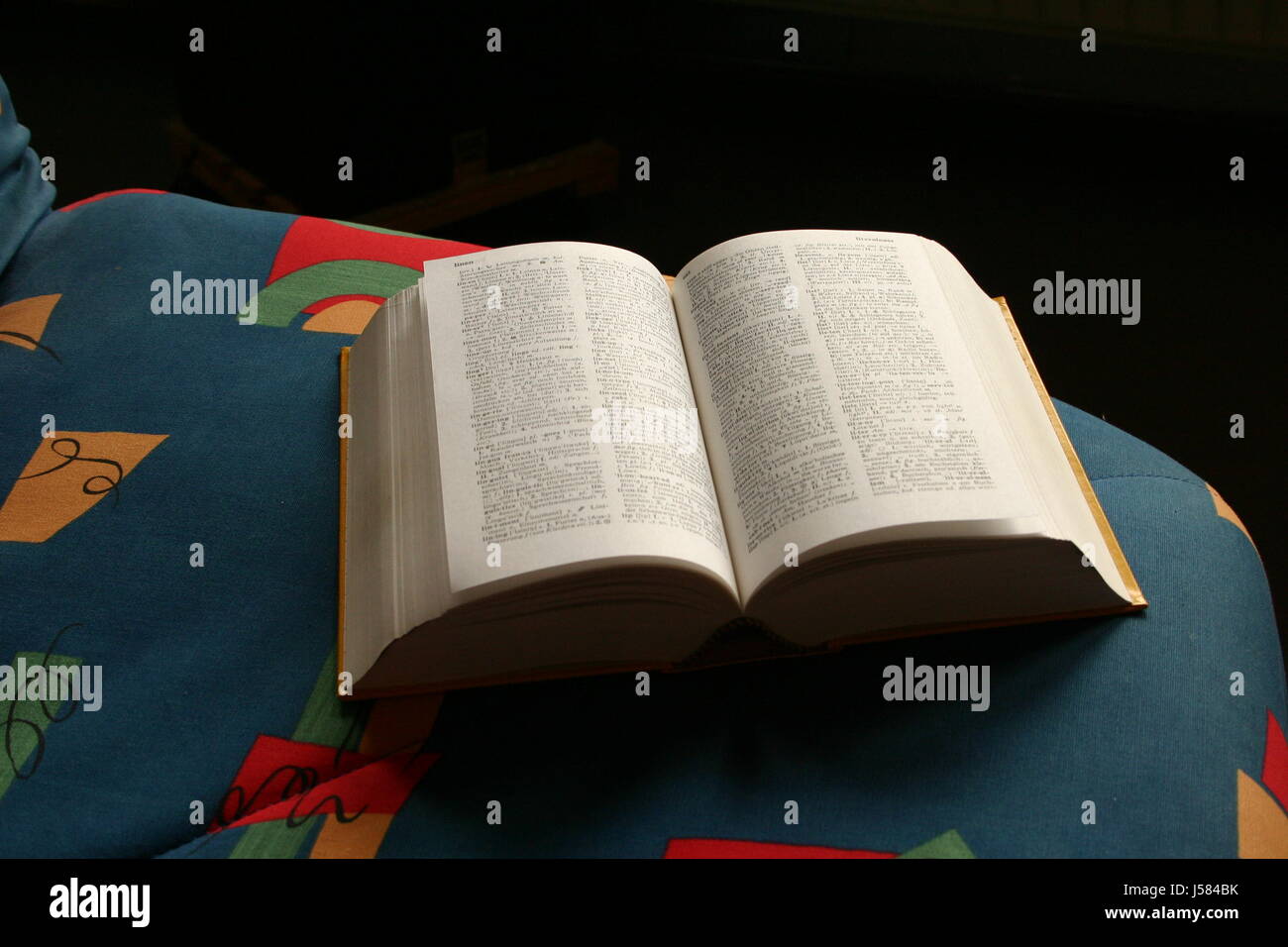 letters word lexical german dictionary transmission translate book ...