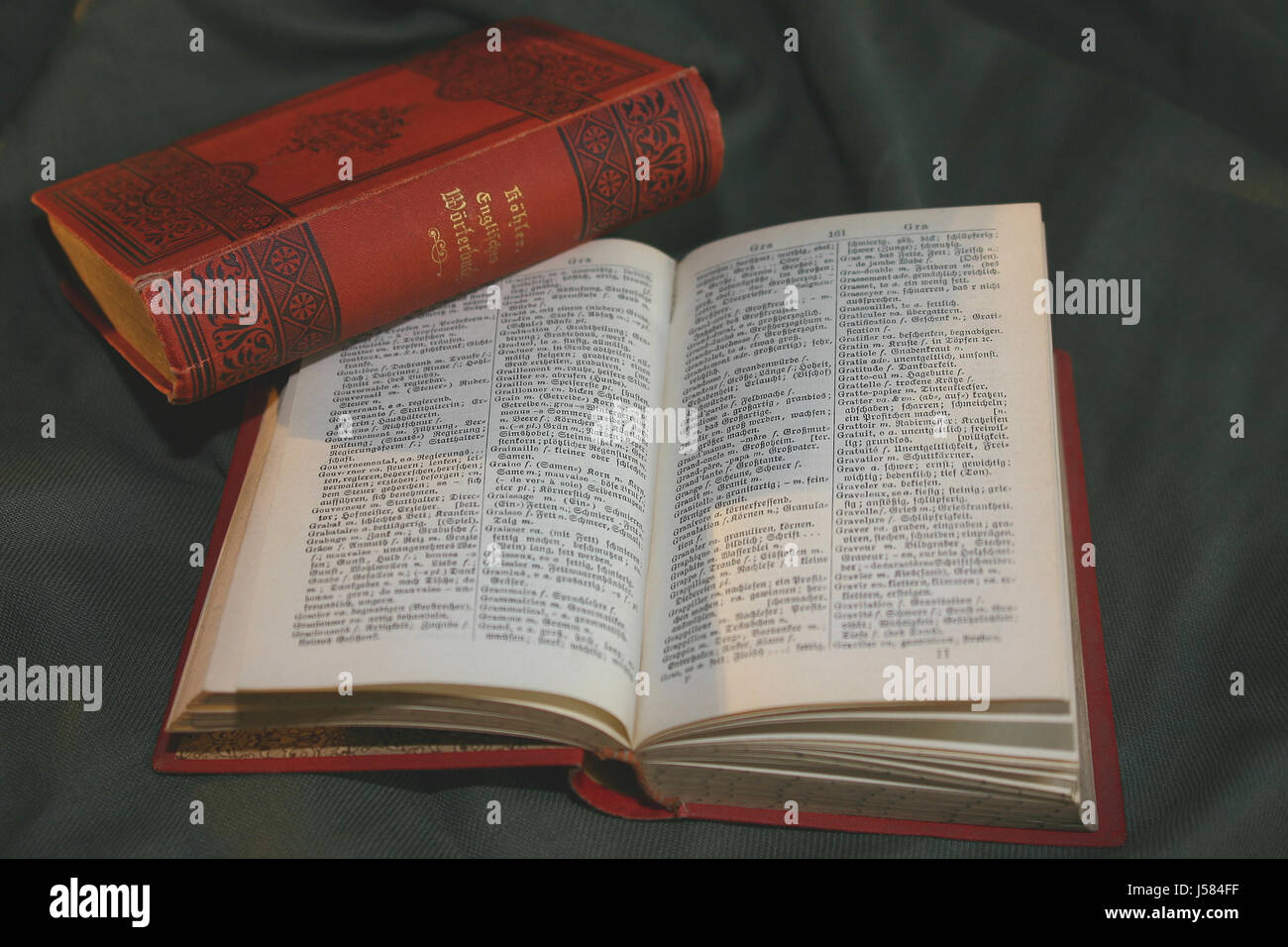 green letters word lexical back of a book language french dictionary ...