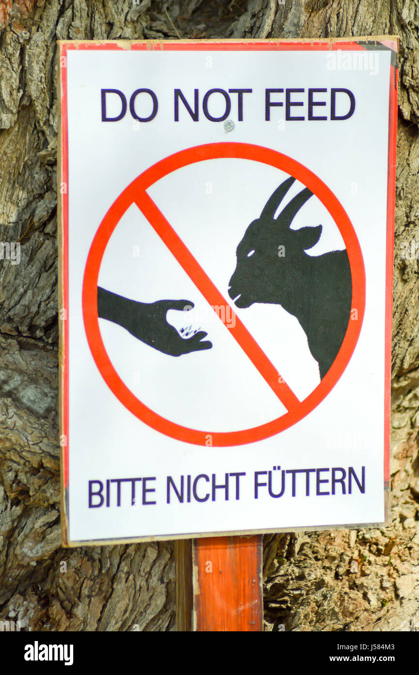 Billboard do not feed the goats in English and German hang on a tree ...