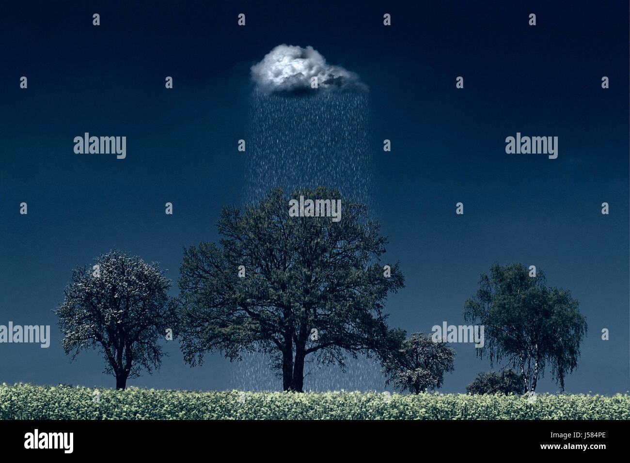the rain cloud Stock Photo - Alamy