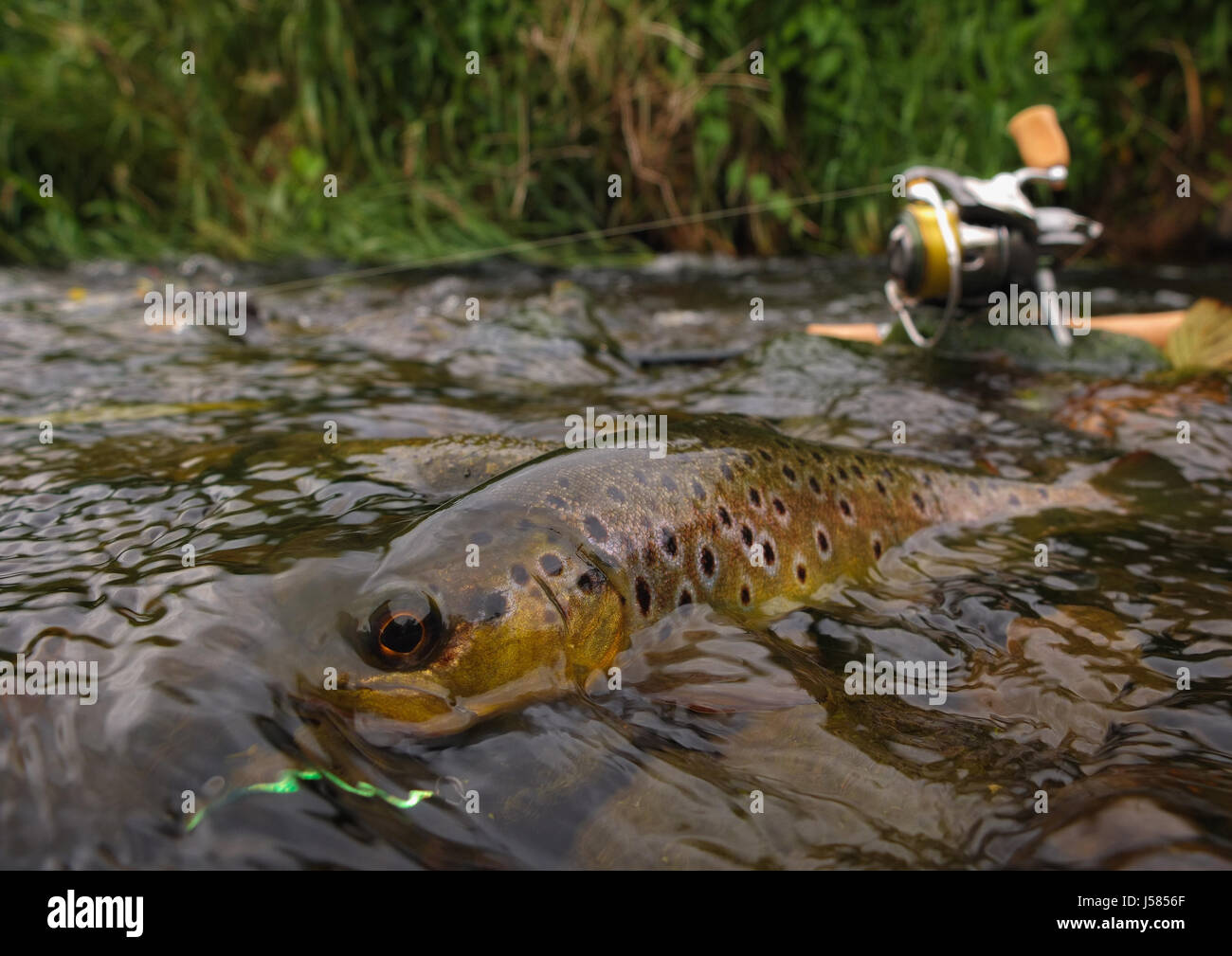 Ultra light fishing hi-res stock photography and images - Alamy