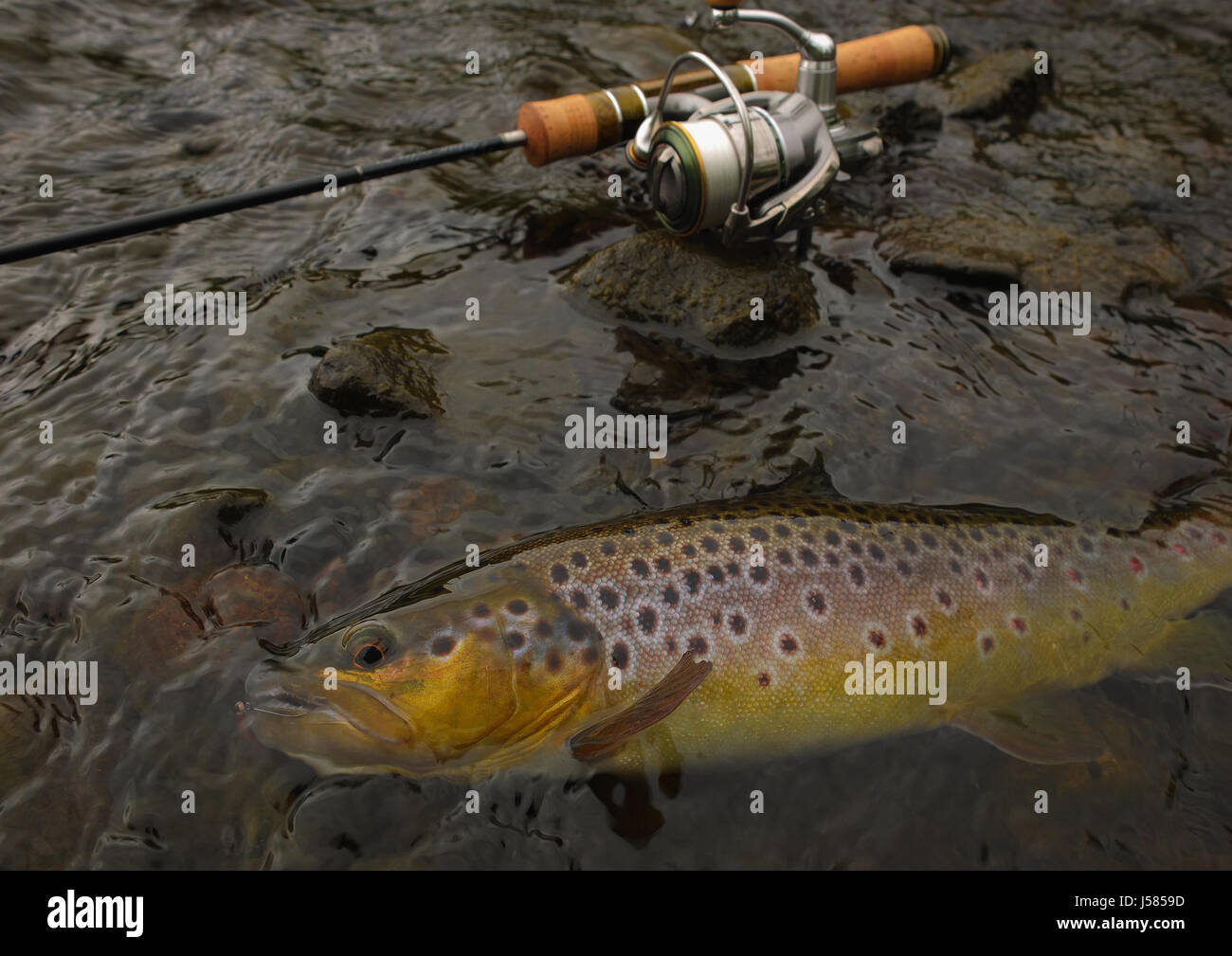 Arigna roscommon hi-res stock photography and images - Alamy