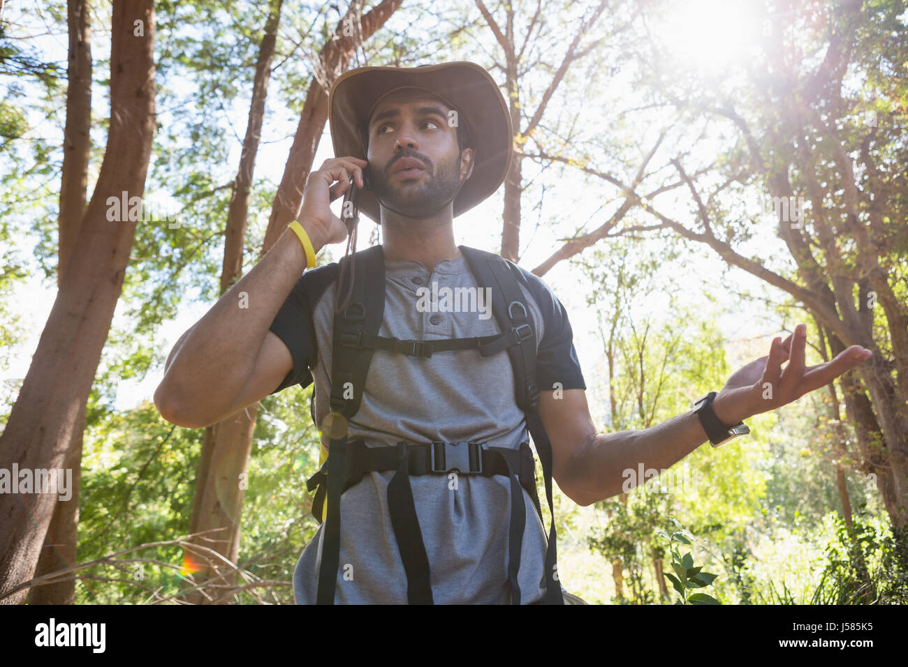 Forest calling phone hi-res stock photography and images - Alamy