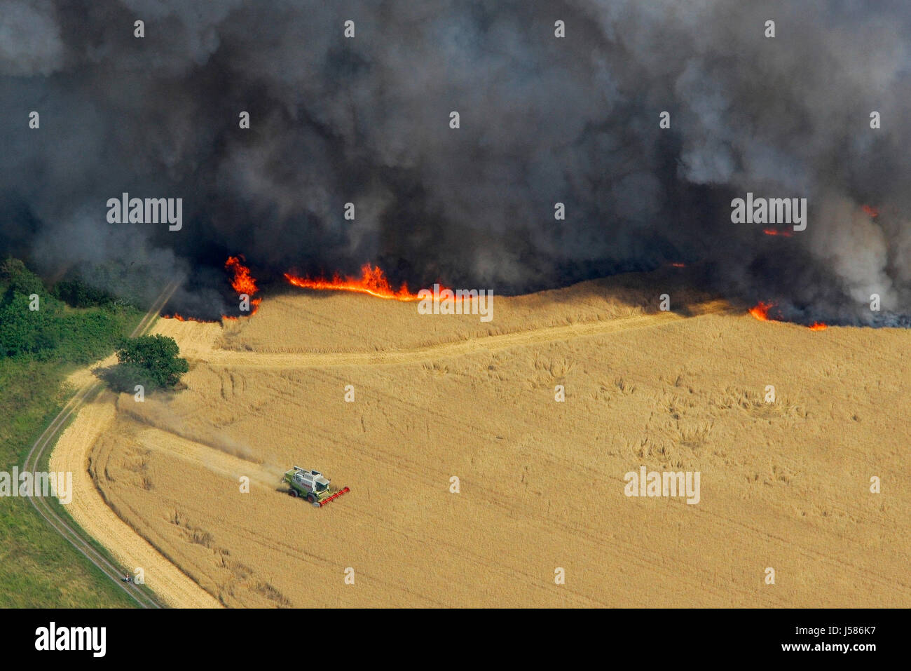 smoke smoking smokes fume courageous agriculture farming field grain ...