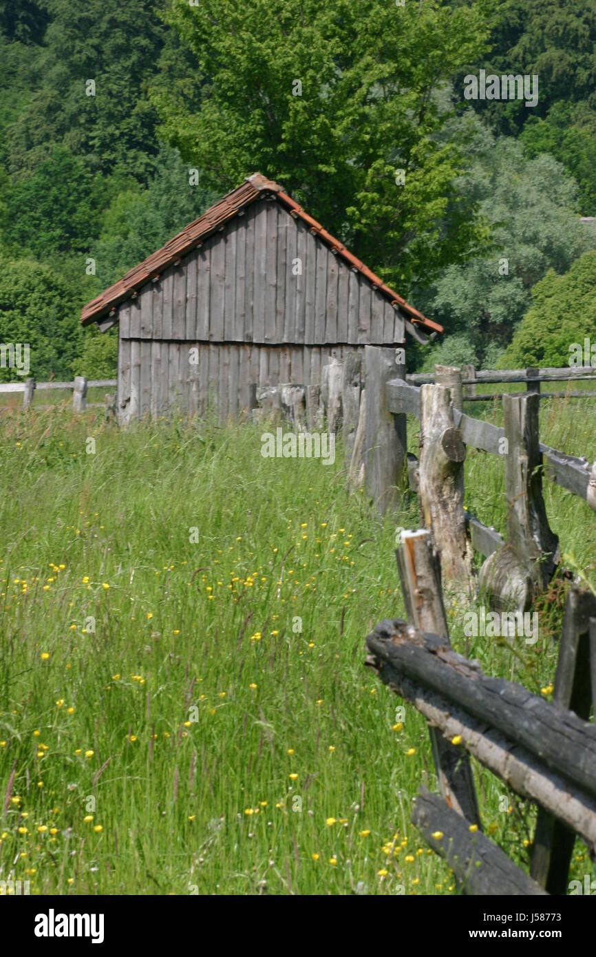 agriculture farming fence dandelion stable stock farming wooden fence ...