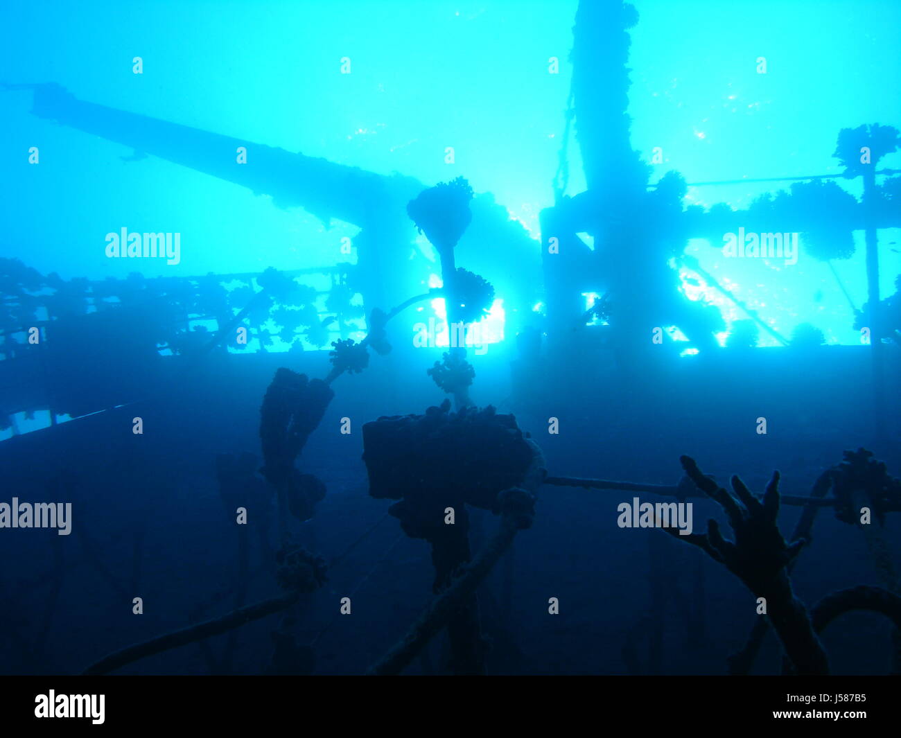 underwater counter-light dive wreck ferry salt water sea ocean water ...