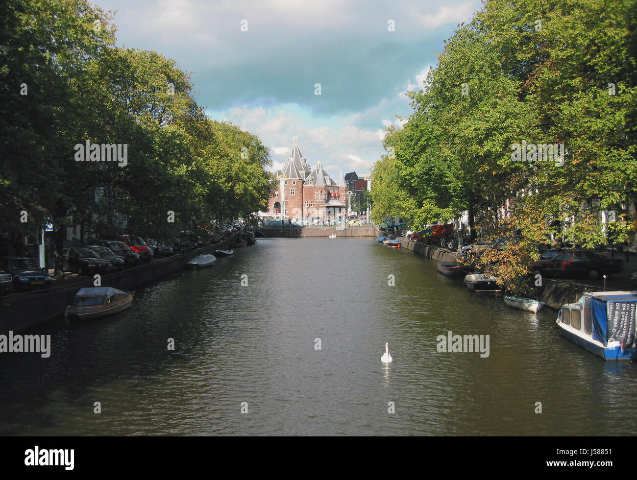 Amsterdam trees hi-res stock photography and images - Alamy