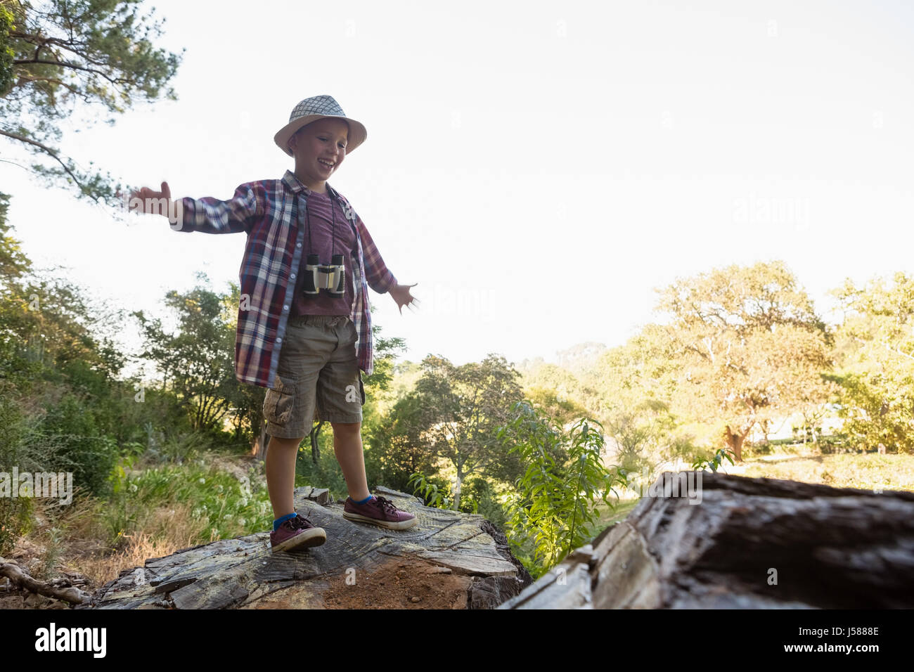 Happy boy standing on the wooden log in forest Stock Photo - Alamy