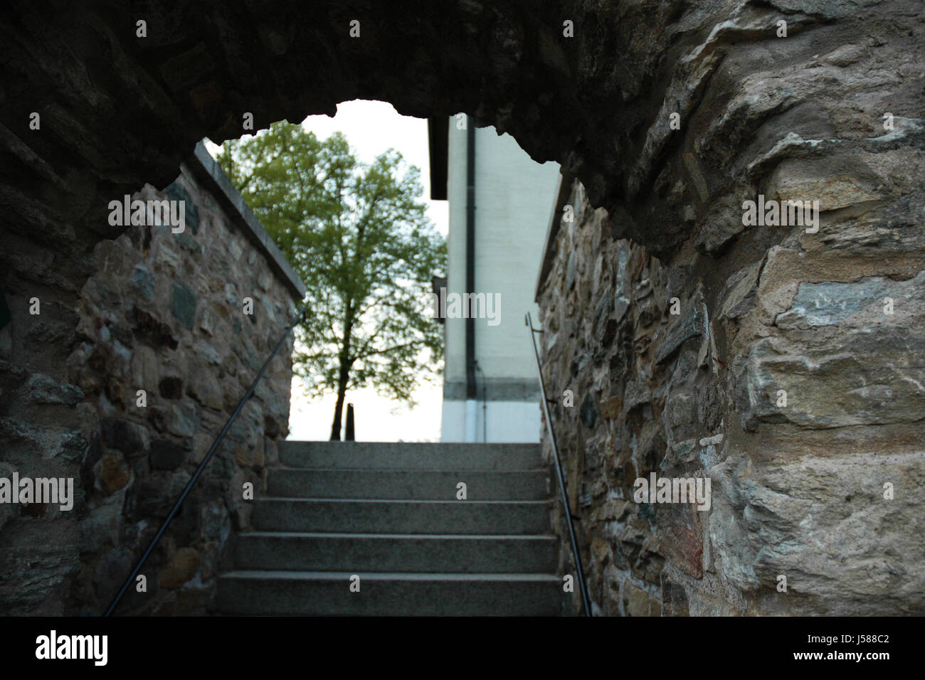 stairs tree stone green arc goal passage gate archgway gantry railing ...