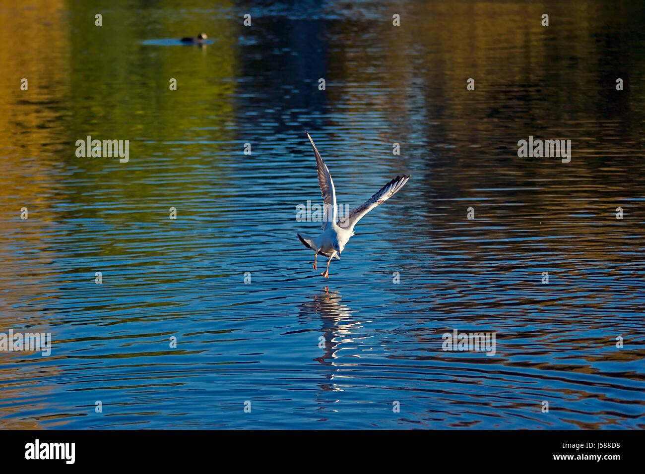 fly runway heading Stock Photo - Alamy