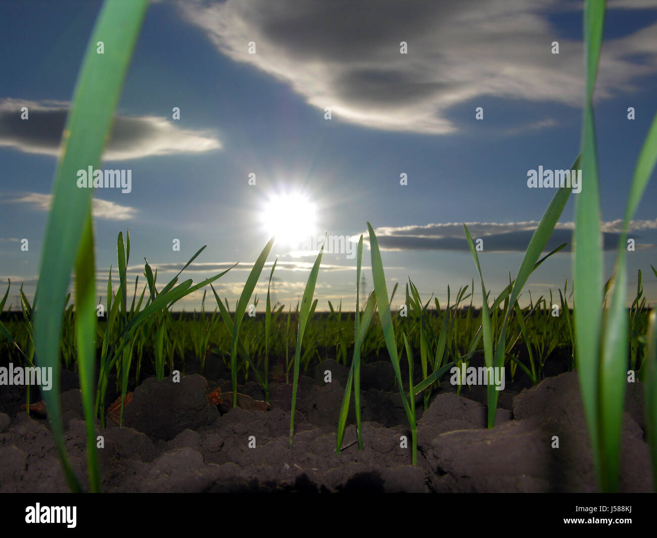 Perspective of a mouse hi-res stock photography and images - Alamy