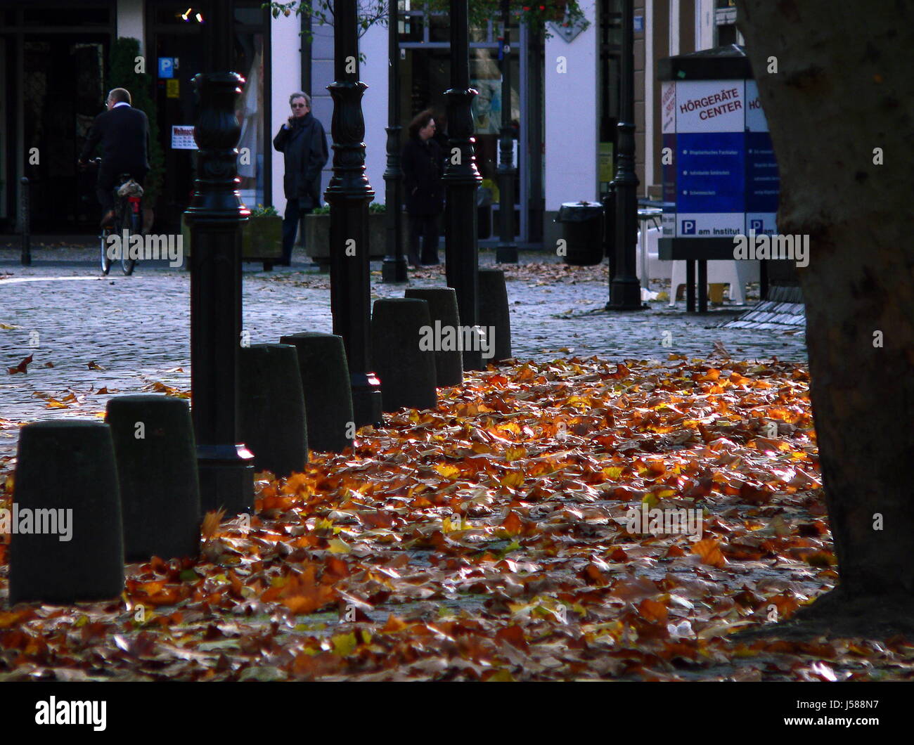 humans human beings people folk persons human human being tree leaves ...