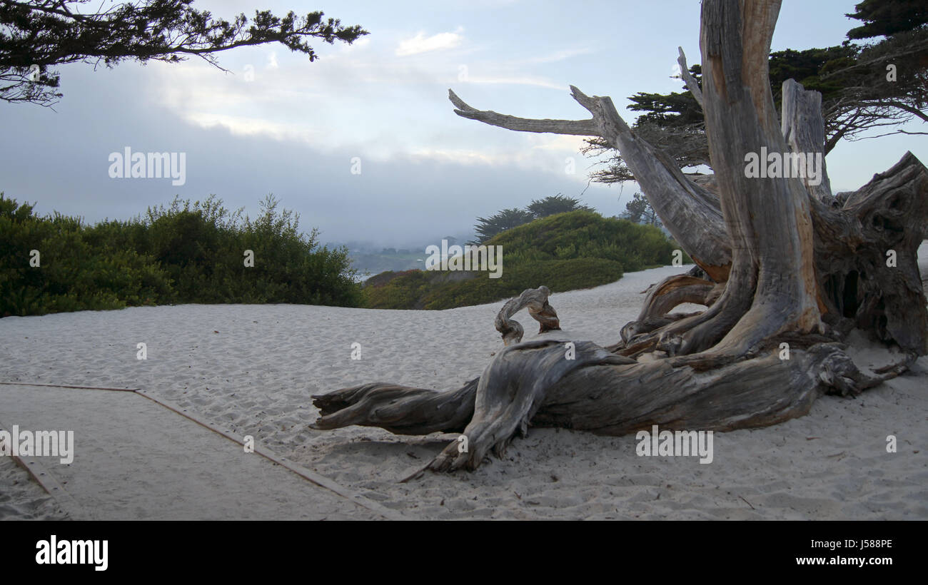 CARMEL, CALIFORNIA, UNITED STATES - OCT 7, 2014: White beach with a ...