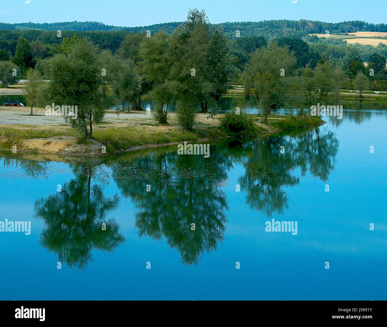 blue tree trees waters green mirroring salt water sea ocean water ...