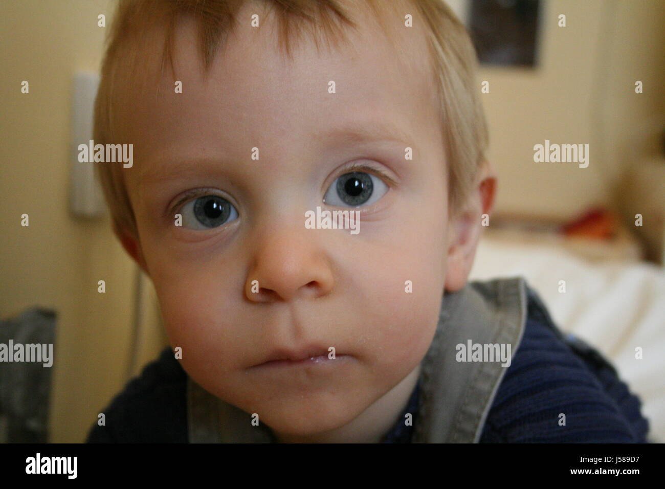 earnest face portrait eyes look glancing see view looking peeking ...