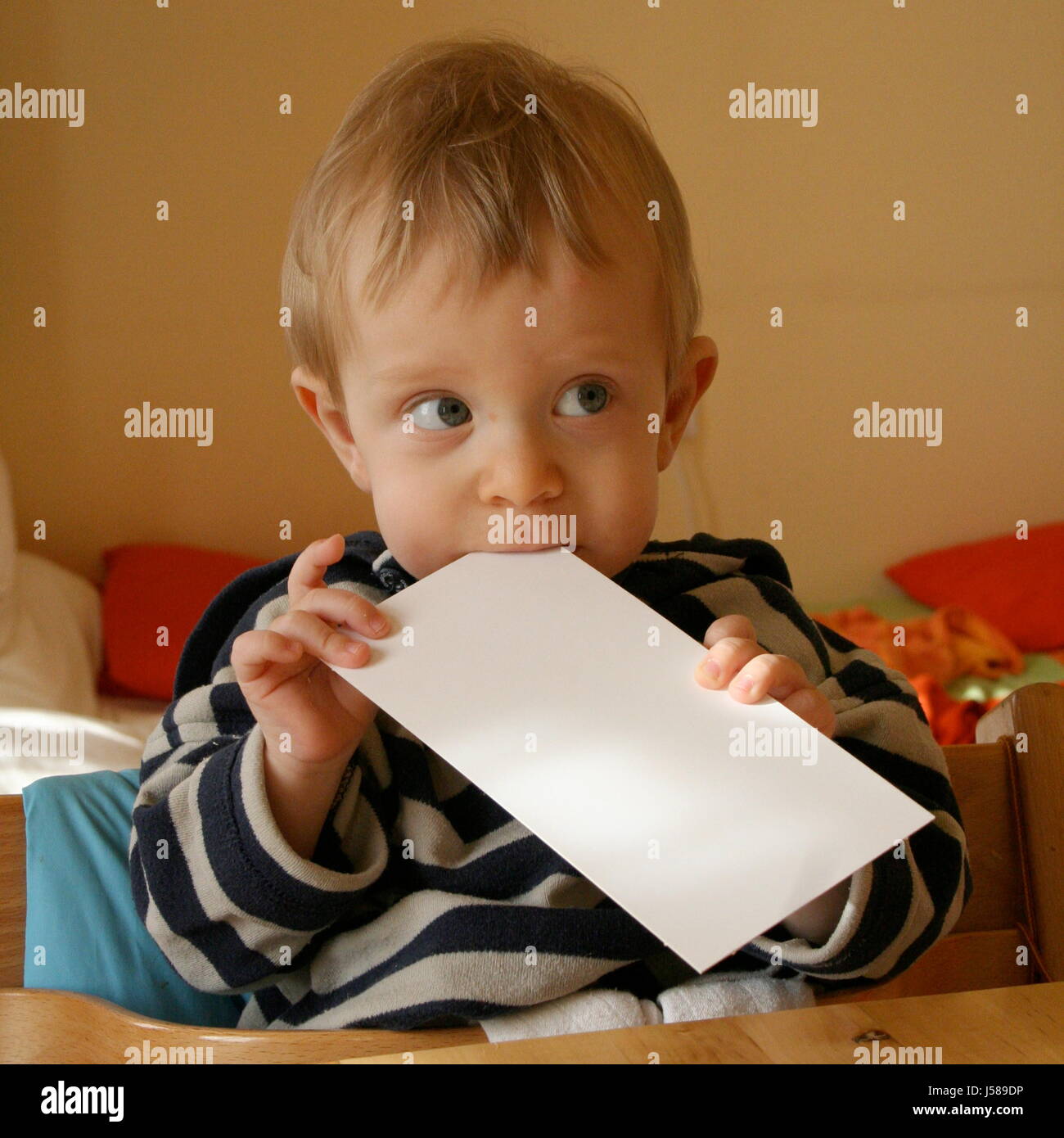 Chewing cardboard hi-res stock photography and images - Alamy