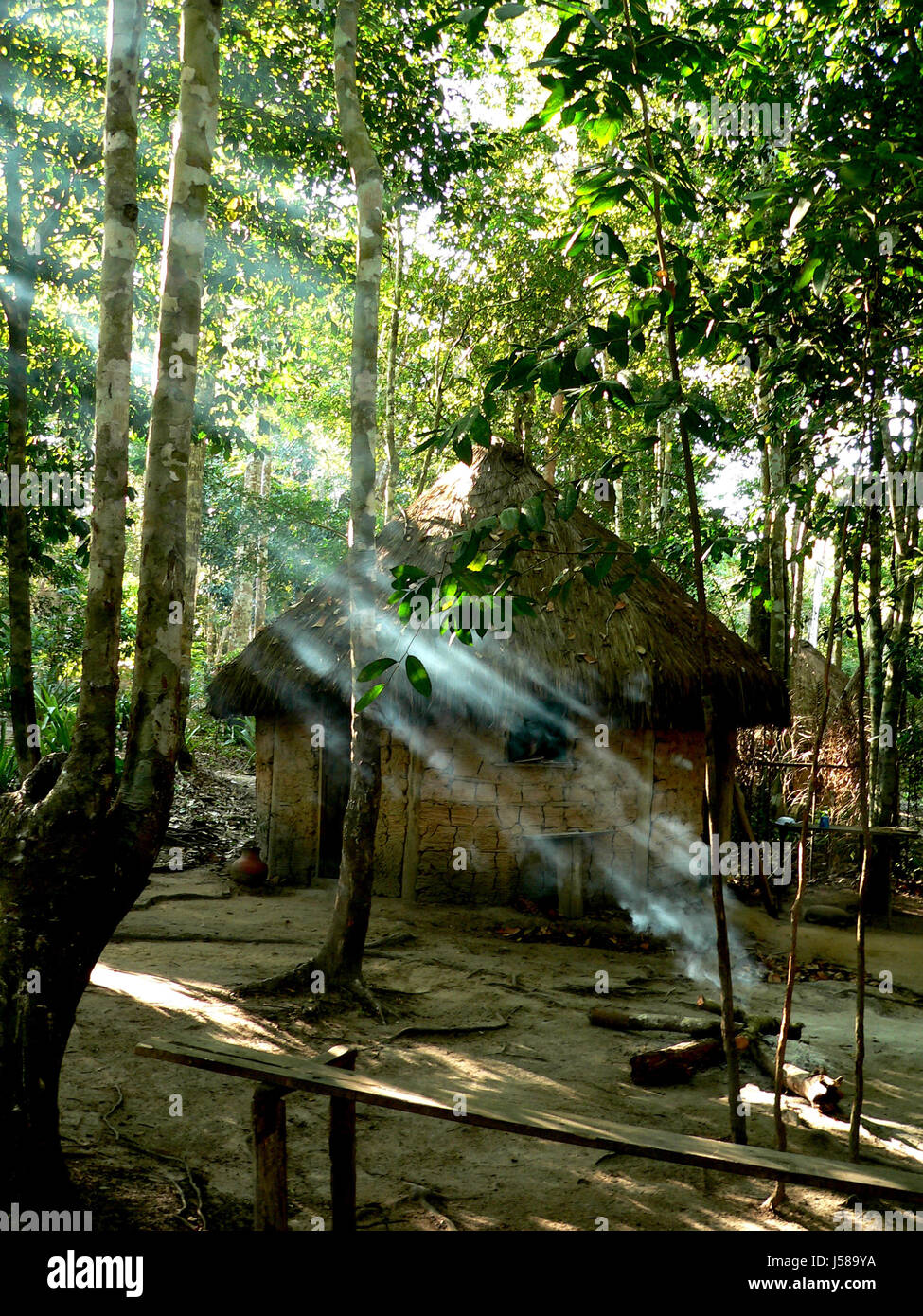 smoke smoking smokes fume tree stone fire conflagration brazil tropical ...