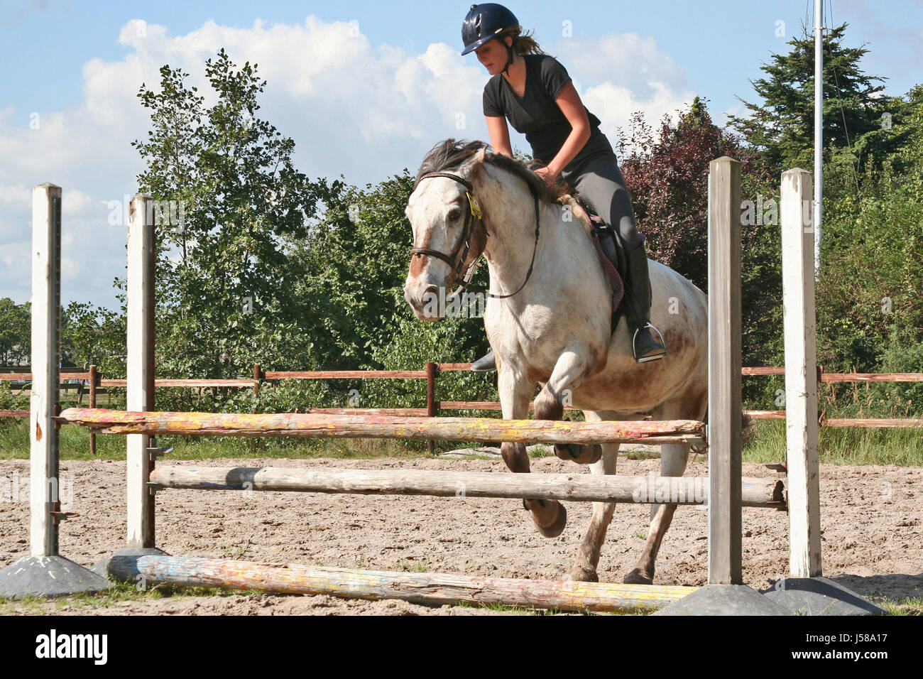ride horse spring bouncing bounces hop skipping frisks jumping jump ...